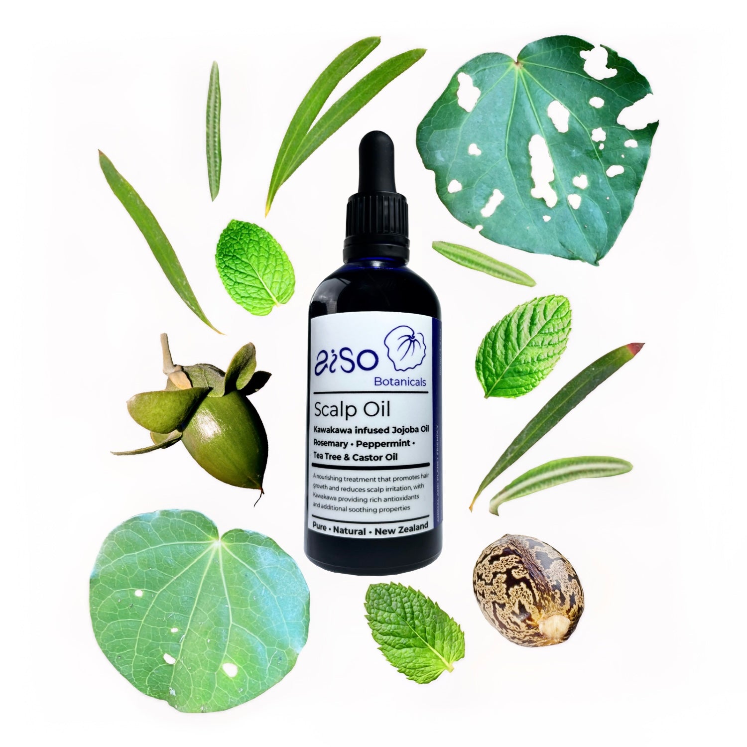 Scalp Oil – Aiso Botanicals